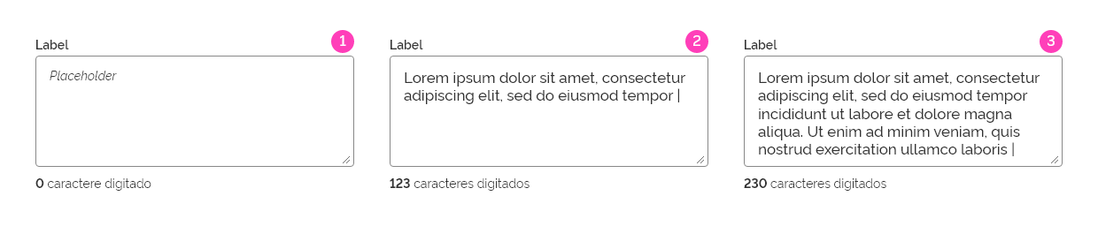 Padrão Digital de Governo